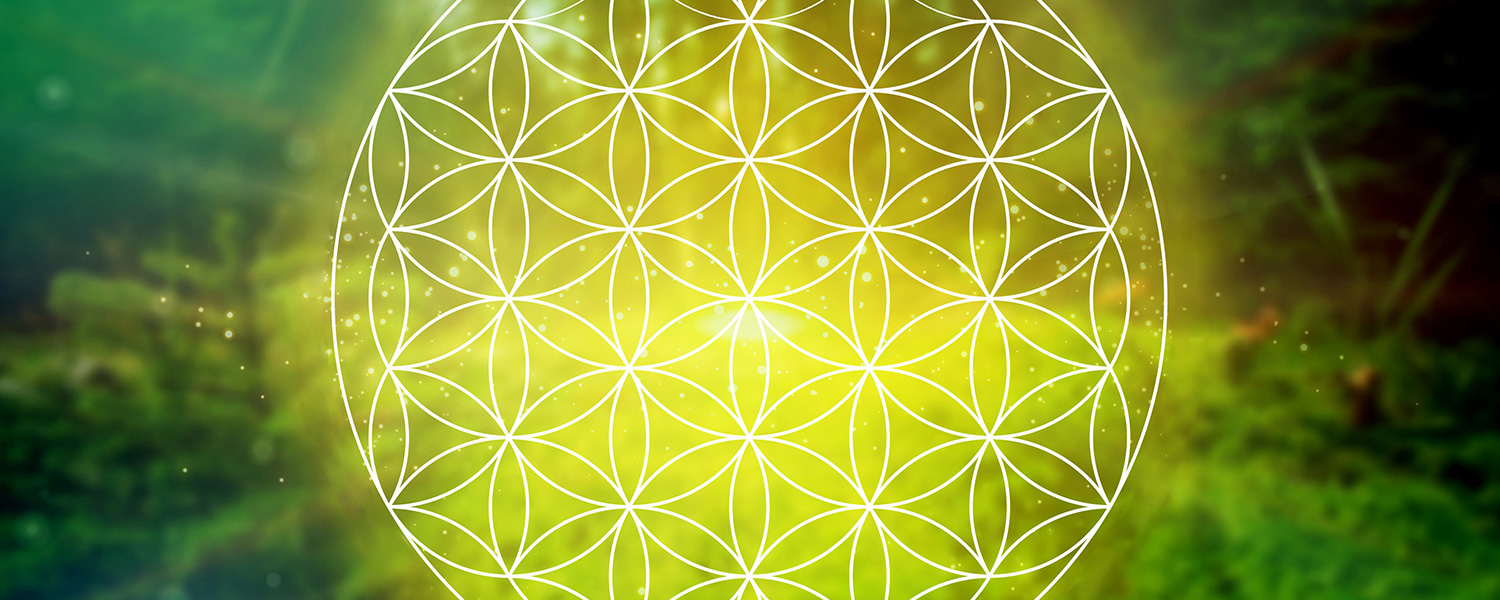 Login | FOSTAC - The Energy Experience